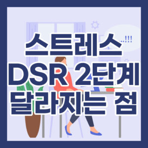 스트레스 DSR 2단계 무엇이 달라지나?